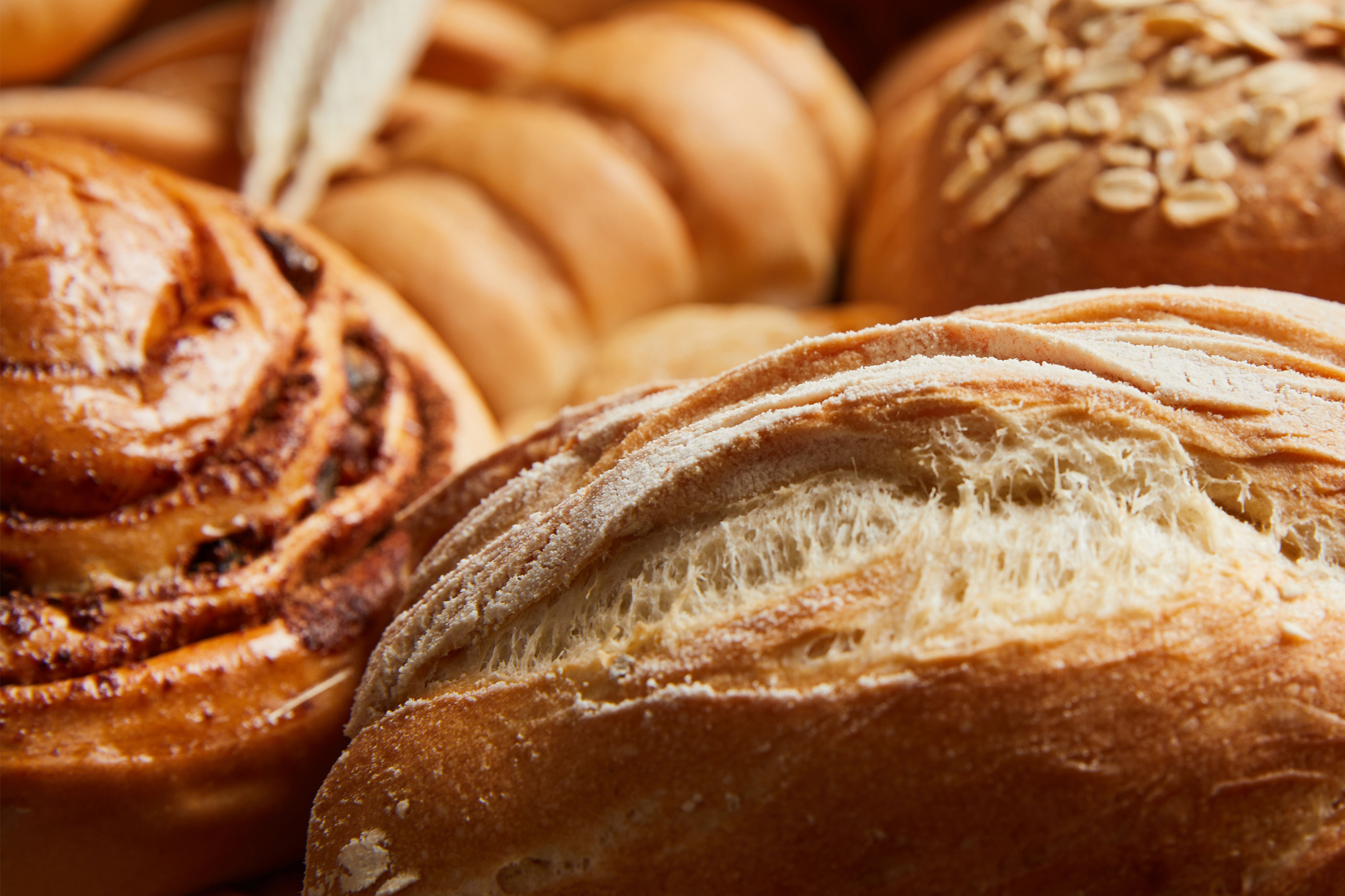 Baking Test Labs - Coperion