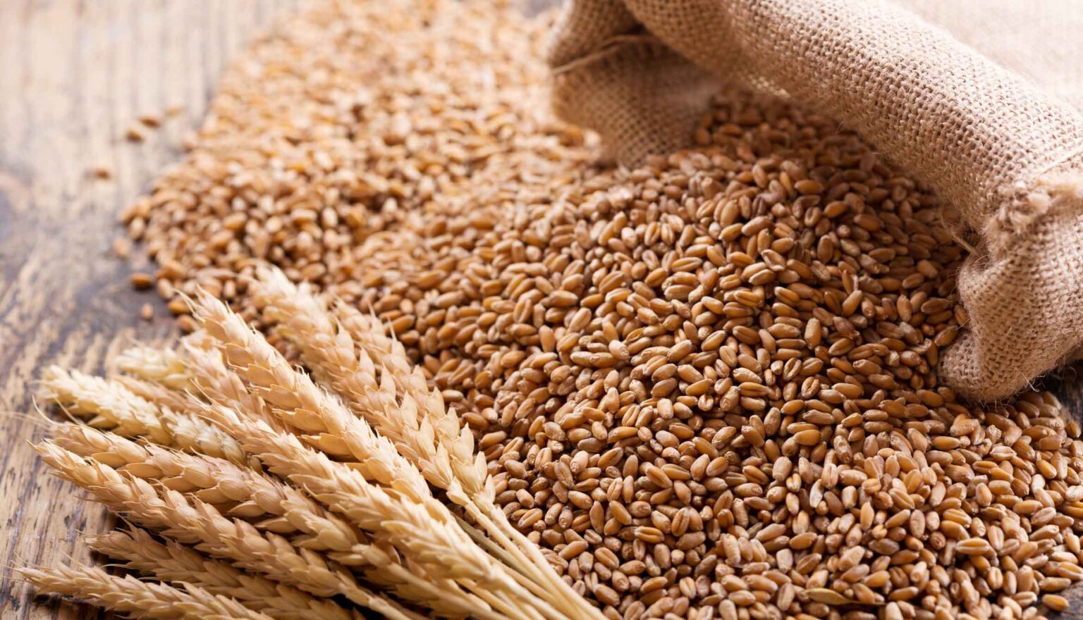 Grain processing technologies for food & feed - Coperion